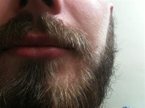 Problems With Beard Grain Direction Beard Board