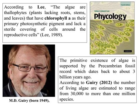 Algae Classificationpptx