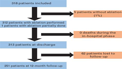 Atrial Fibrillation Ablation Long Term Esc Ehra Eorp Afa Lt Journal Of Cardiovascular Medicine