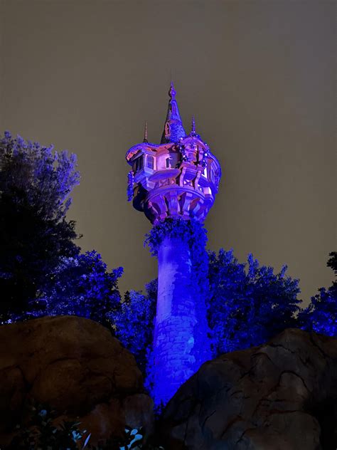 Disney Rapunzel Tower Disney Tangled Rapunzels Magical Tower Playset