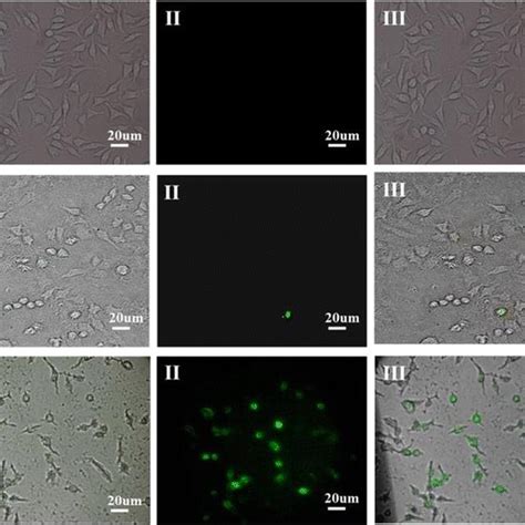 Xrd Patterns Of Cdte Cdsete And Cdsetecds Qds Download Scientific Diagram