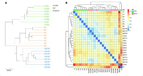 Hierarchical Clustering Analysis Of The 16s Rrna V3 And V4 Regions Download Scientific