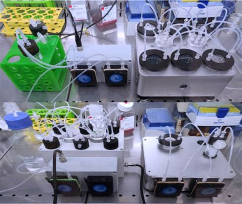 Mesobiotech Inspiration Invention And Innovation