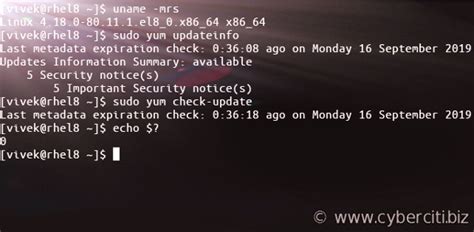 rhel 8 9 update installed packages for security nixcraft
