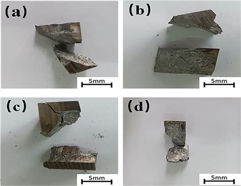 Compressive Macroscopic Morphology Of Composites With Different Download Scientific Diagram