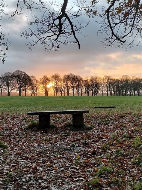 Mostafizar Rahman Posted On Linkedin