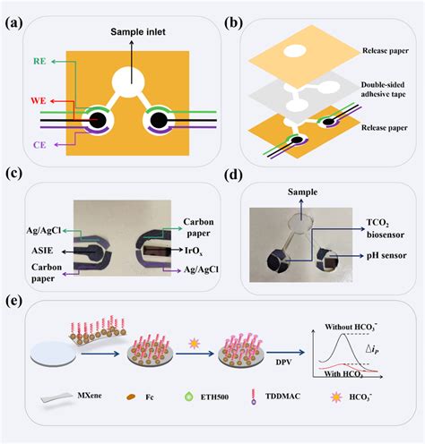 A E Equipment Components Of The Paper Based Sensor That Can Detect Ph Download Scientific