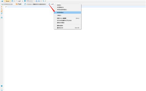 Chinese On Button Of Tabs Close All Is Error · Issue 17641 · Dbeaverdbeaver · Github