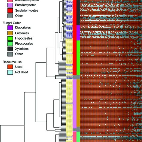 Phylogenetic Structure Of Resource Use The Otu Labels Are Color Coded Download Scientific