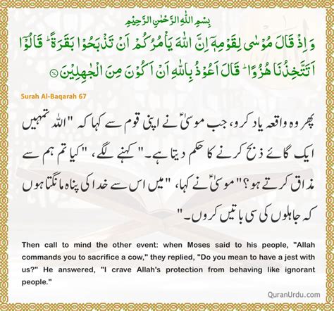 Surah Al Baqarah Ayah 67 Daily Quran And Hadith