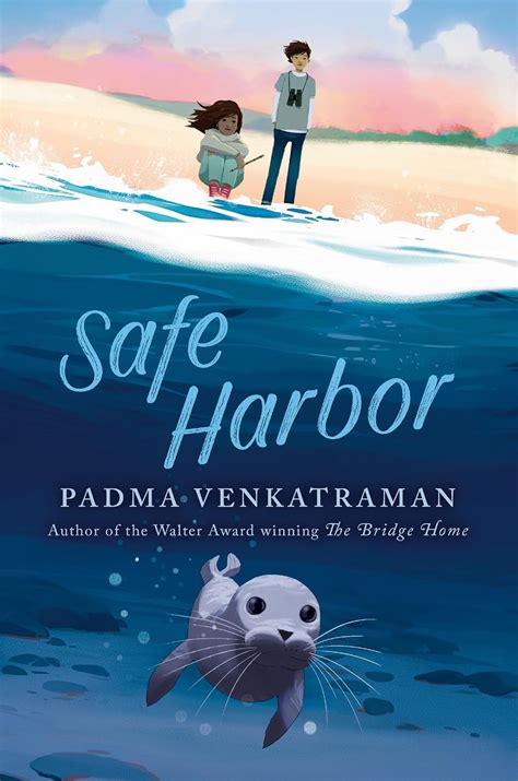 Safe Harbor San Francisco Book Review