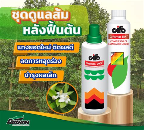 🌳🍊🍊ชุดดูแลส้ม หลังฟื้นต้น บริษัท เอราวัณเคมีเกษตร จำกัด