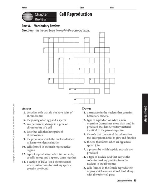 Worksheet Plant Reproduction Worksheet Gr Fedjp Worksheet — Db