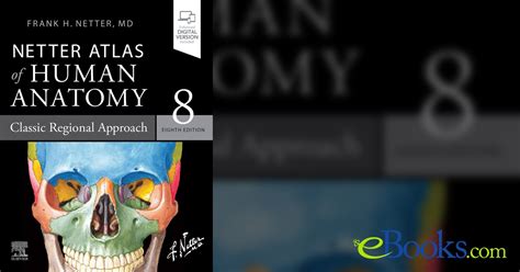 Netter Atlas Of Human Anatomy Classic Regional Approach Ebook