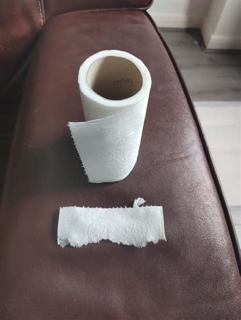 My Girlfriend Does Not Know How Toilet Roll Works Rcasualuk