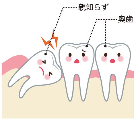 歯科口腔外科で親知らずの抜歯や顎関節症はT ONE歯科クリニック上野毛