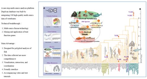 Marine Ecological Genomics Lab 海洋生态基因组实验室