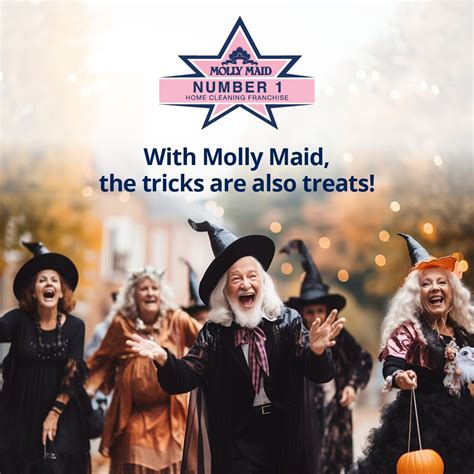 Molly Maid On Linkedin Franchisedevelopment Franchiseopportunities
