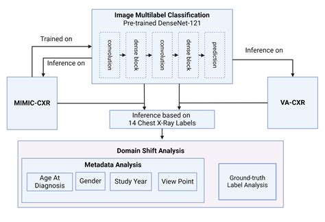 Domain Shift Analysis In Chest Radiographs Classification In A Veterans