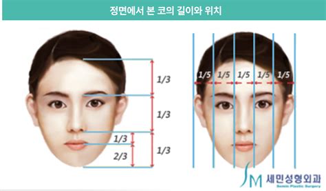 Sm 세민성형외과