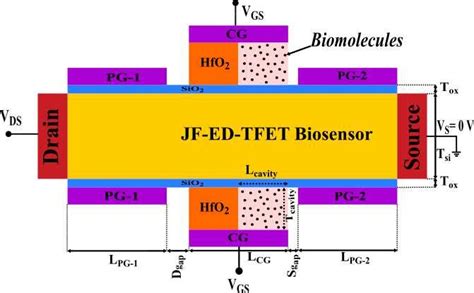 2 D Cross Sectional View Of Jf Ed Tfet Biosensor Download Scientific