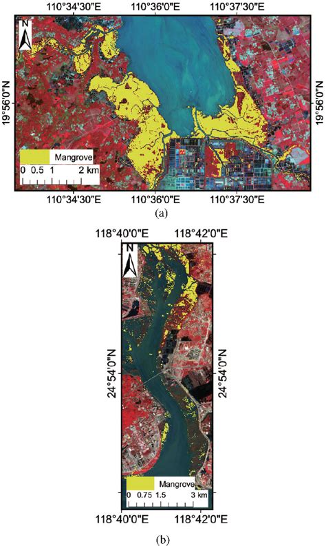 Figure 13 From Generalized Composite Mangrove Index For Mapping Mangroves Using Sentinel 2 Time