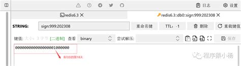 基于redis的bitmap实现签到、连续签到统计含源码redis签到实现连续签到3天计算 Csdn博客