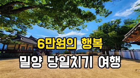 절약하는 백수 6만원으로 밀양 당일치기 절약 여행 브이로그밀양 여행코스영남루밀양카페밀양아리랑공원밀양아리랑 우주천문대 Youtube