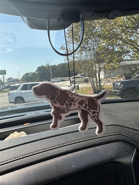 Pointer New Car Scent
