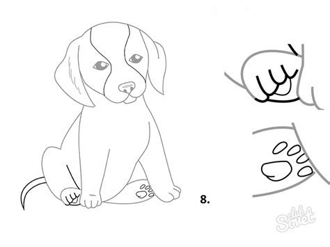 Как нарисовать собаку поэтапно карандашом легко