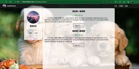 Ssm项目前后端分离idea运行环境（含前端源码）（个人博客系统）idea前端代码 Csdn博客