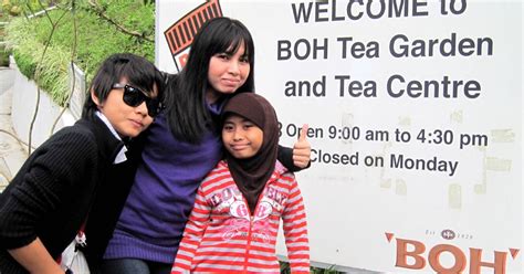 Antara Abjad Bicara Dan Rasa Memeluk Kabus Cameron Highland