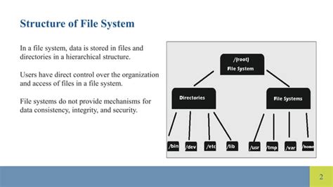 Introduction And Differences Between File System And Dbmspptx