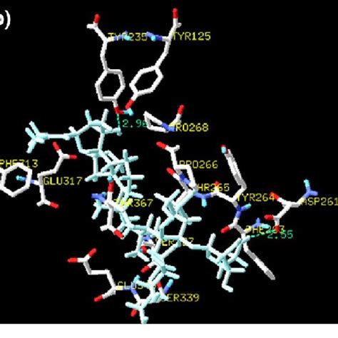 Pdf Molecular Docking Of Bacosides With Tryptophan Hydroxylase A