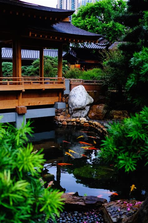 Bog Filters And Your Koi Pond Next Day Koi