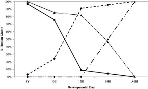G To B Globin Gene Switching During Development In Wt And Á5 0 Hs3c
