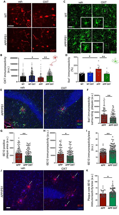 Figure 3 From Oxytocin Attenuates Microglial Activation And Restores Social And Non Social