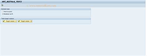 SRT BIZTALK TEST SAP Tcode SAP Interop Browser BizTalk Tests