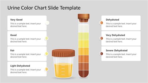 Urine Color Chart Printable Fanny Printable
