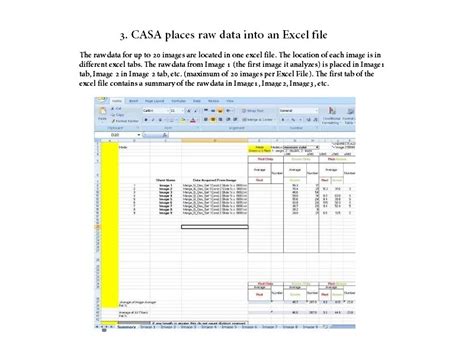 Dna Fiber Analysis