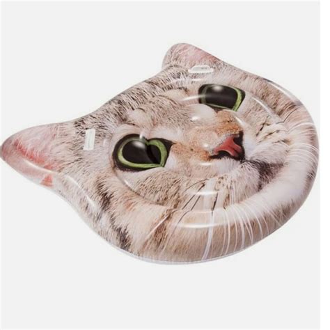 Intex Games Intex Cat Face Island Floatie Poshmark