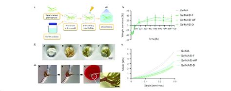 I Scheme Of The Process To Obtain The 3d Scaffold Based Model Download Scientific Diagram
