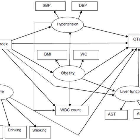 Structural Equation Models For Corrected Qt Interval Ellipses Download Scientific Diagram