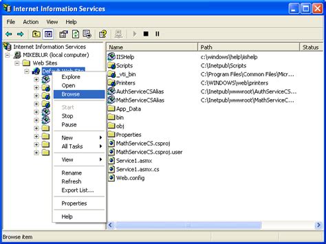 the c and asp program example on the web service application