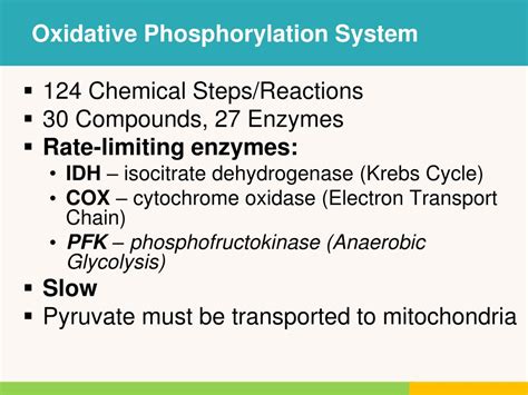 Ppt Energy Systems And Exercise Powerpoint Presentation Free