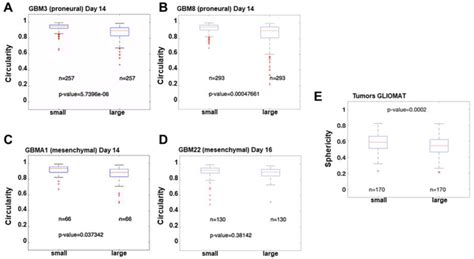 analysis of circularity boxplots of the circularity in small and large download scientific