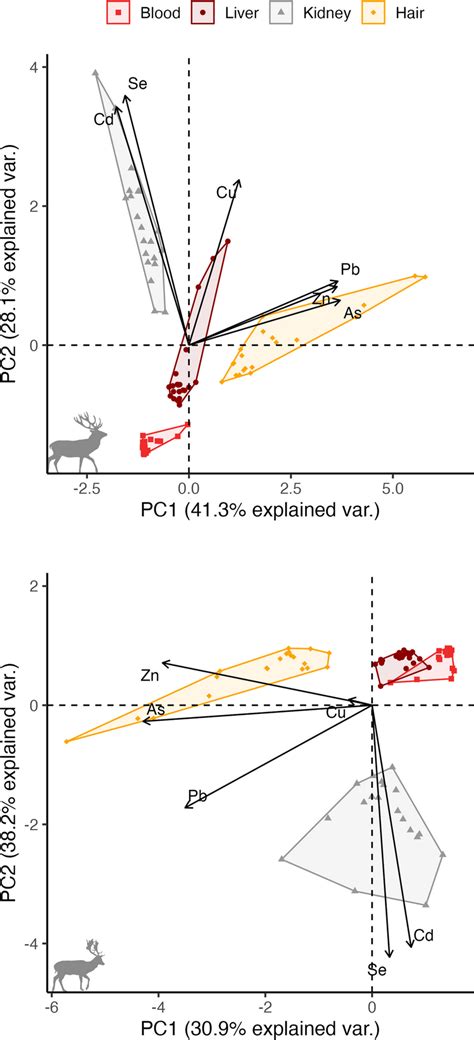 Pca Ordination Biplot Showing The Dissimilarity In Trace Element Download Scientific Diagram
