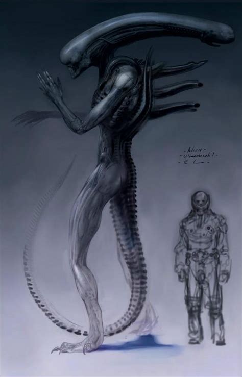 Image Jockey Xenomorphpng Xenomorph Species Wiki Fandom Powered By Wikia