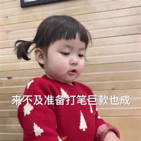 罗熙表情包 送我礼物我们就天下第一好 罗熙 猪猪 巨款 新浪新闻