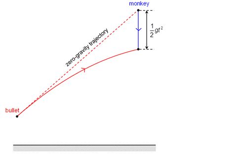 Projectile Motion XmPhysics